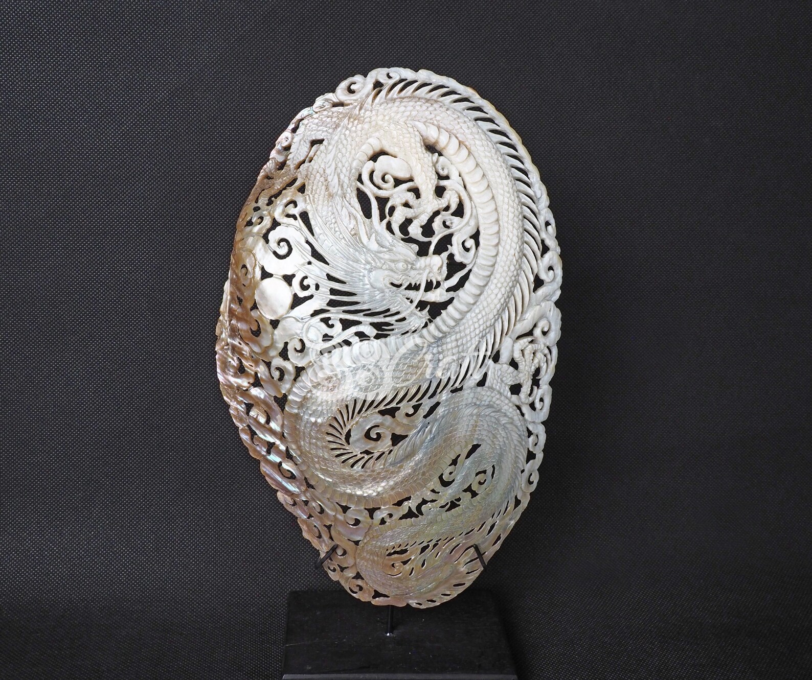 2pcs Natural Mussels Clam Shell Carving Skull Dragon Hand - Etsy