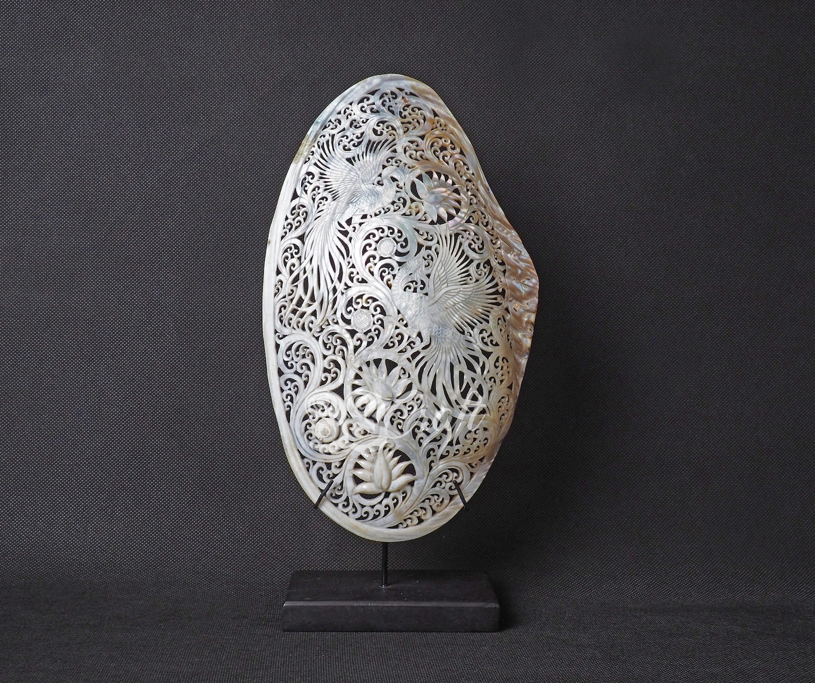 Natural Mussels Clam Shell Carving Phoenix Model on Stand - Etsy