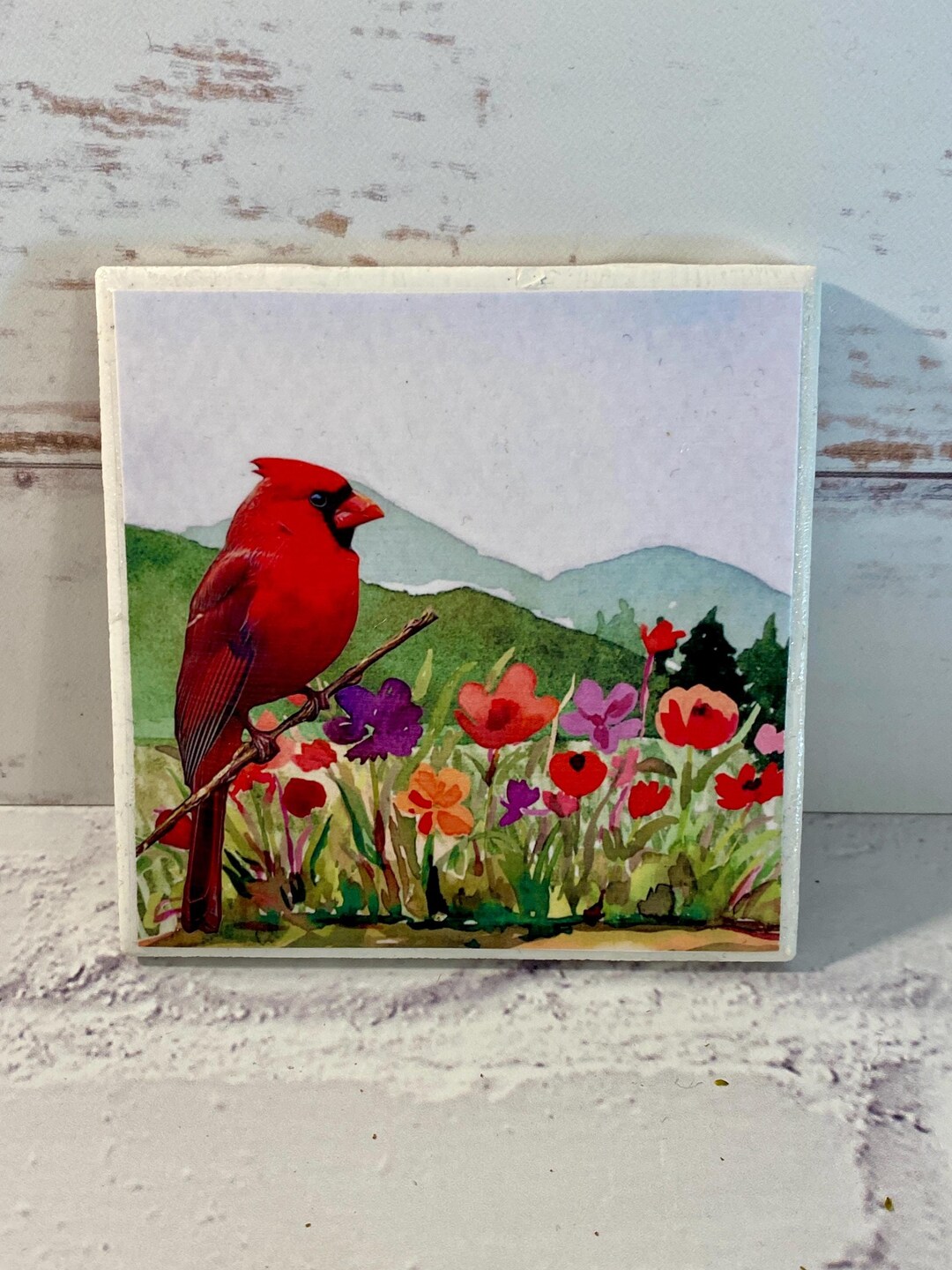 Cardinal Coaster, Backyard Bird Coasters, Bird Gifts, Bird Nerd ...