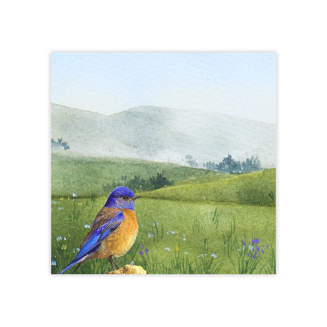 Eastern Bluebird Post-it® Note Pads, Bluebird Sticky Notes, Bluebird ...