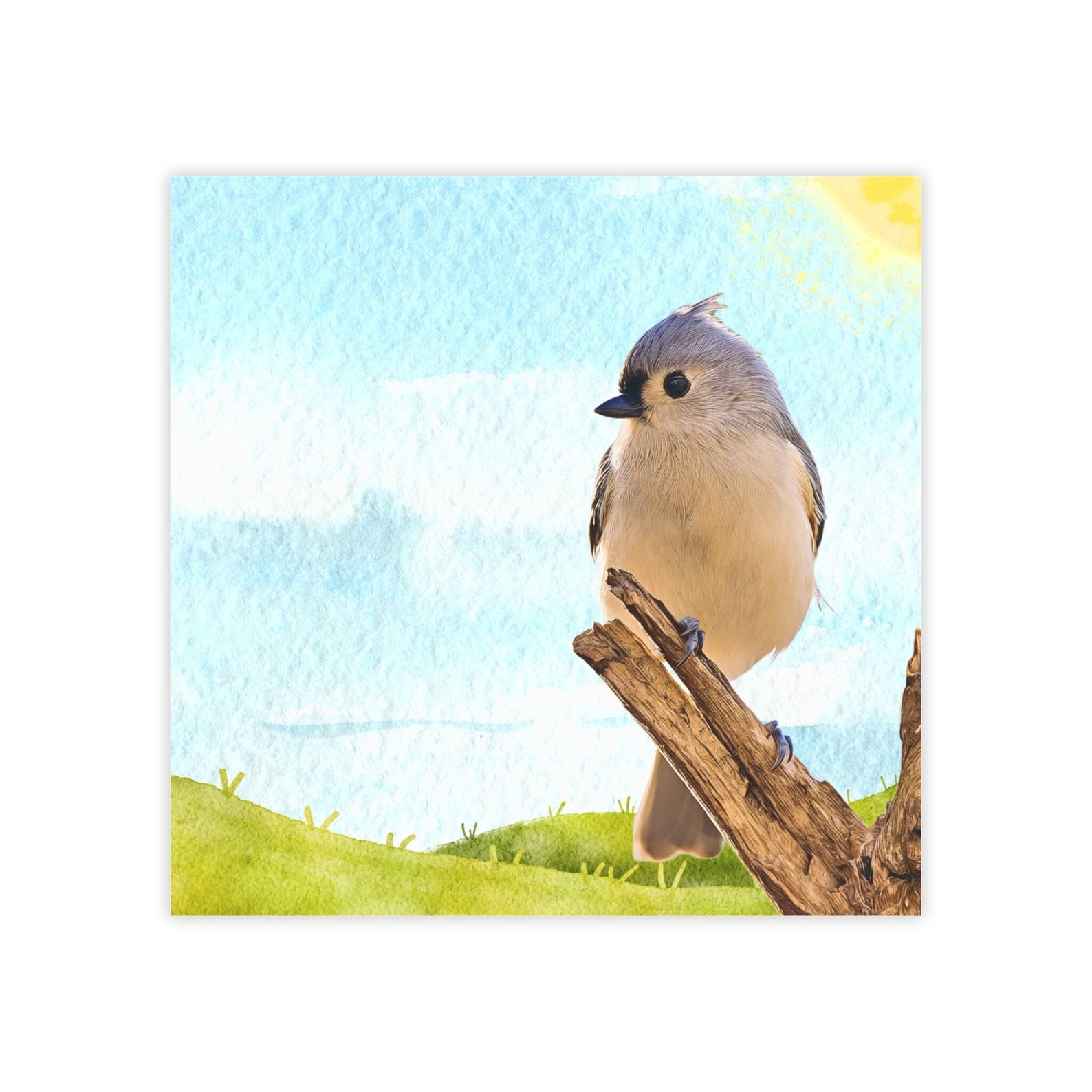 Tufted Titmouse Sticky Notes: Bird Gift, Titmouse Notepad, 50-sheet ...