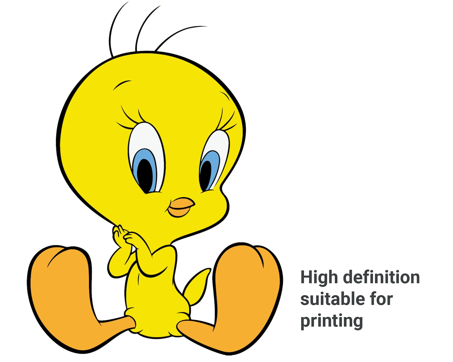 Tweety Bird 30 Design SVG PNG Bundle Pack High Resolution | Etsy