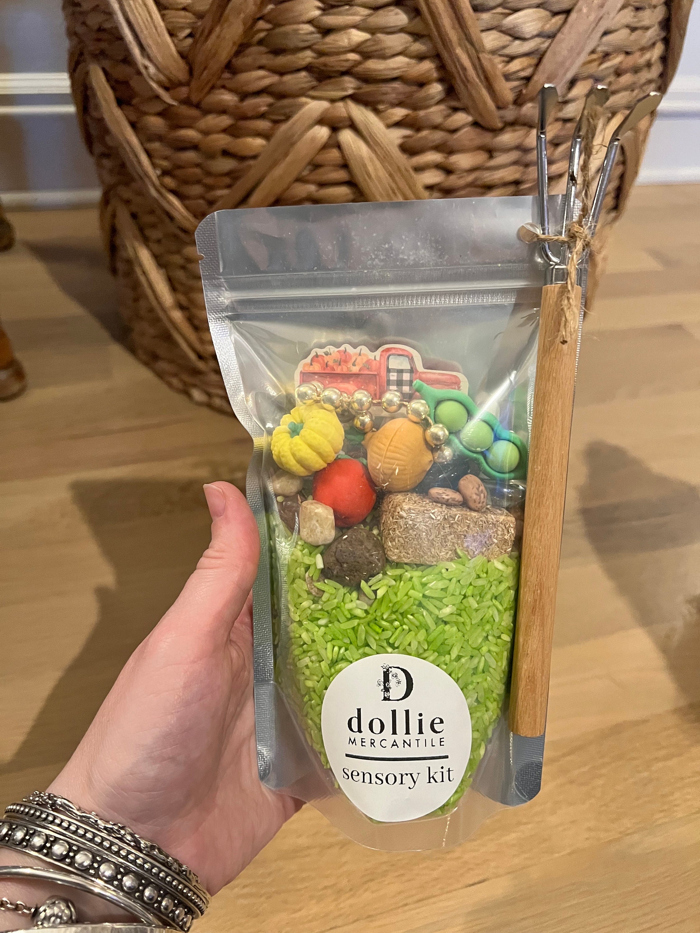 Farm Sensory Kit, Garden Sensory Play, Fruit Sensory Kit, Horse Sensory ...