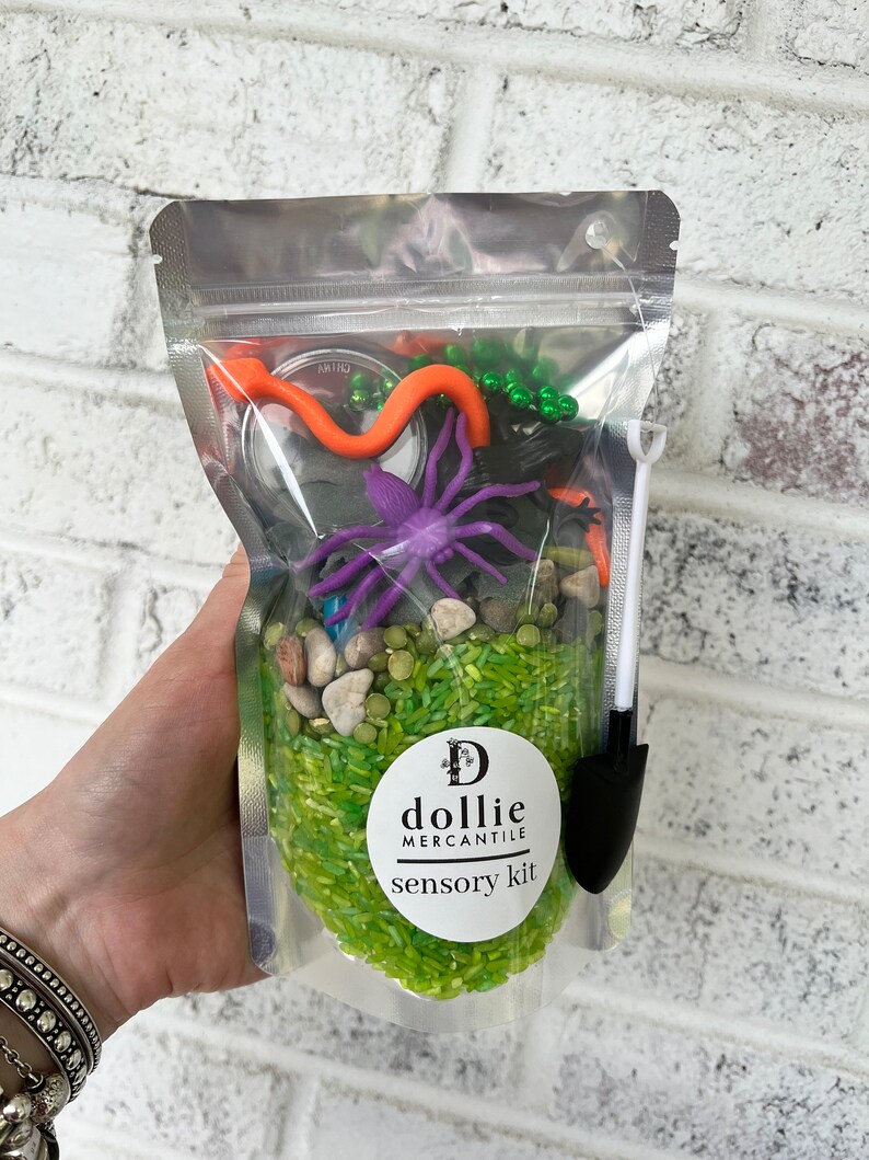 Bug and Reptile Sensory Kit, Digging in the Dirt Sensory Play, Boy ...