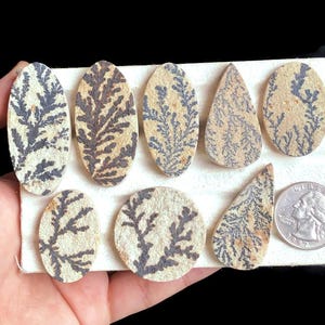 Selected Dendrite Fossil Cabochon, Natural Dendrite Fossil Natural ...