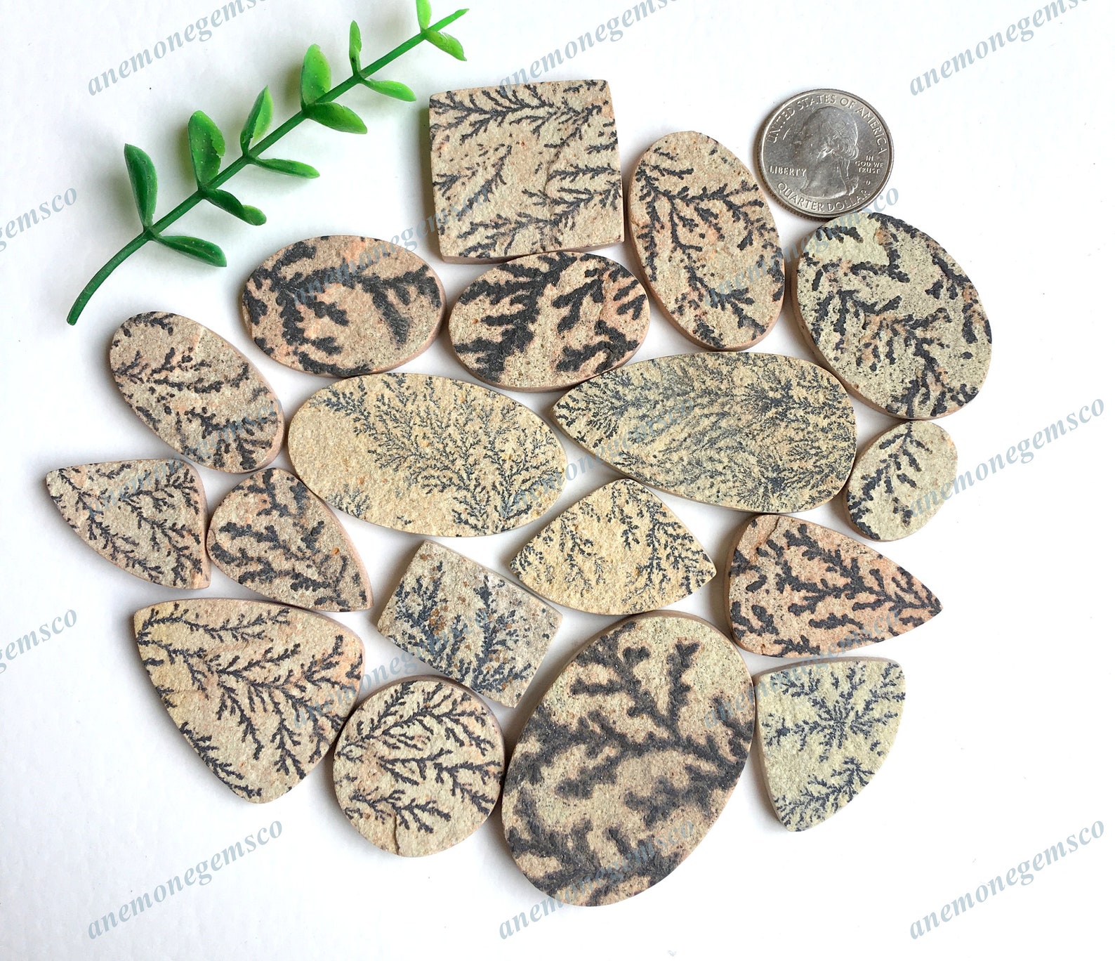 Amazing Quality Dendrite Fossil Cabochon Lot , Natural Dendrite Fossil ...