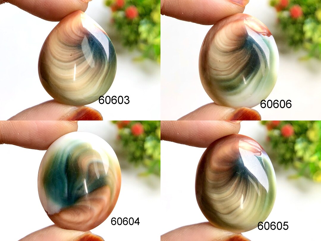 Australian Eye Shell Cabochon, Natural Semi Precious Gemstone for ...