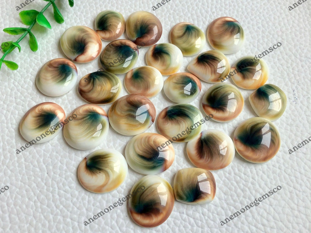 Australian Eye Shell Cabochon Lot, Natural Shiva Eye Shell Gemstone ...
