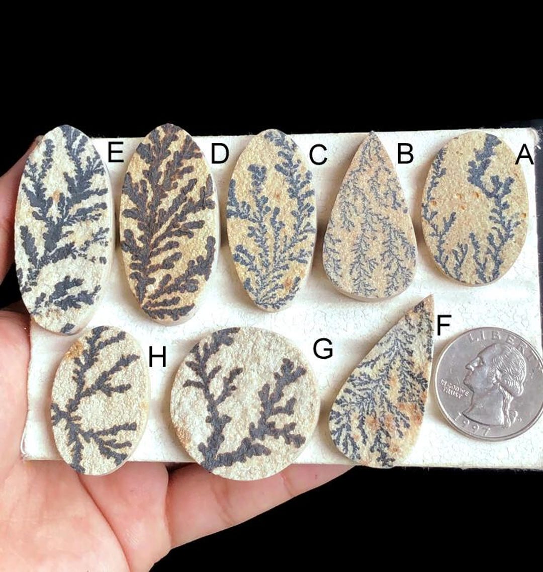 Selected Dendrite Fossil Cabochon, Natural Dendrite Fossil Natural ...