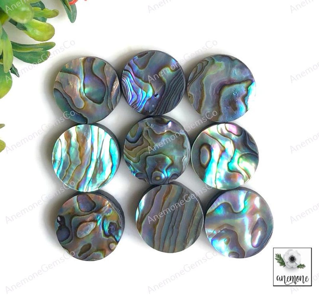 Abalone Shell Cabochons 15mm Round Shape Gemstone, Calibrated Abalone ...