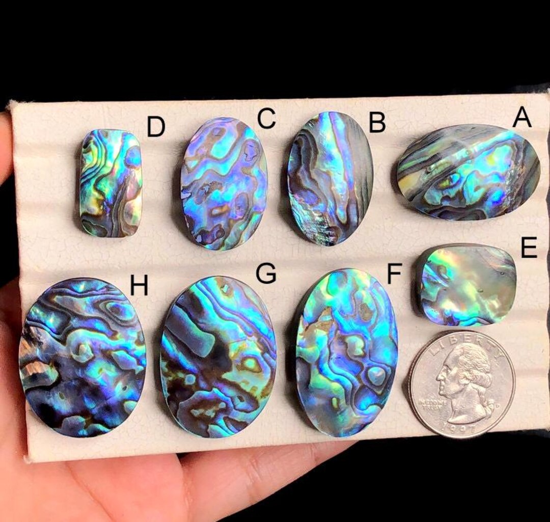 Selected Abalone Shell Cabochon, Natural Sea Shell Handmade Gemstone ...