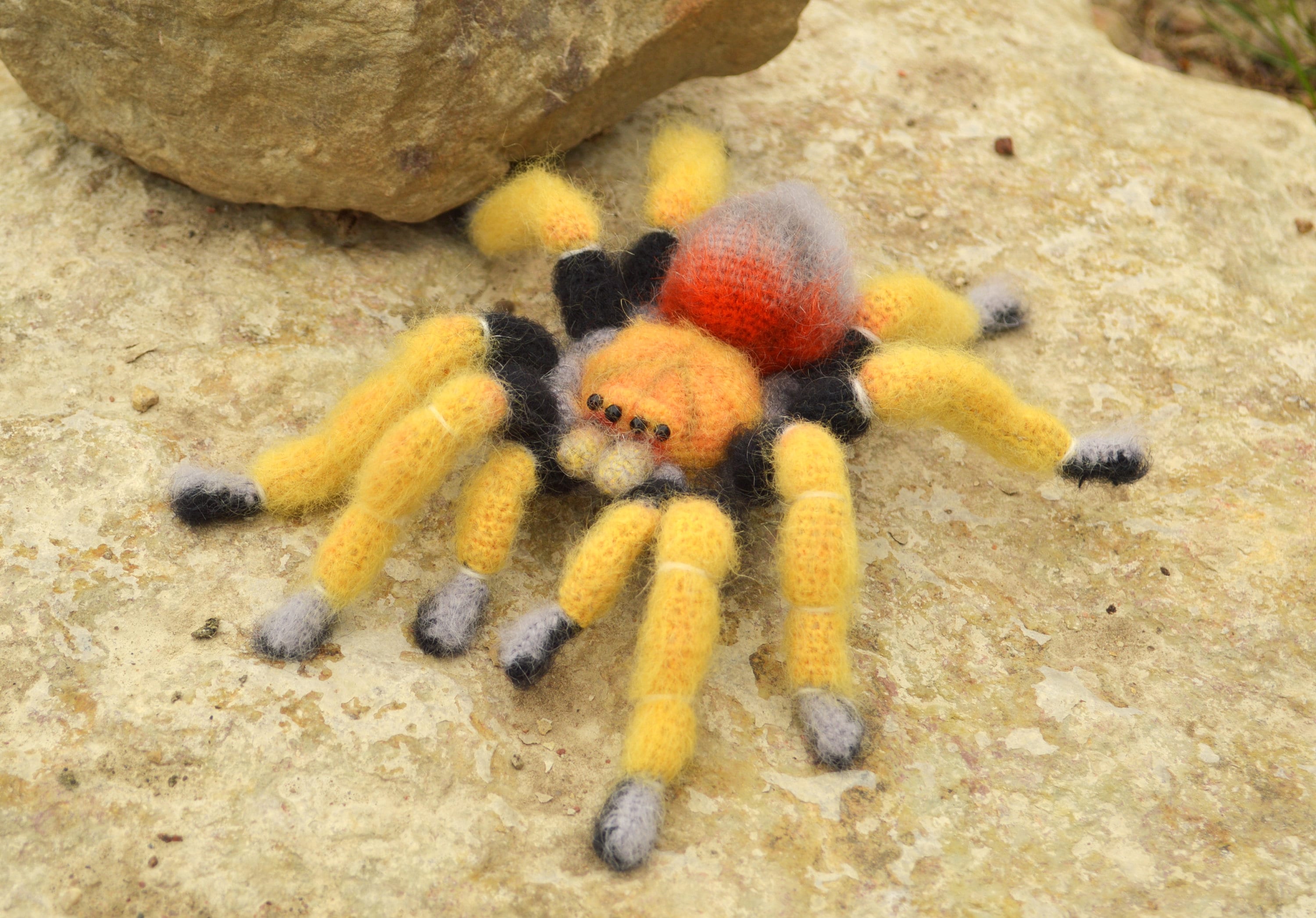 Yellow Tarantula