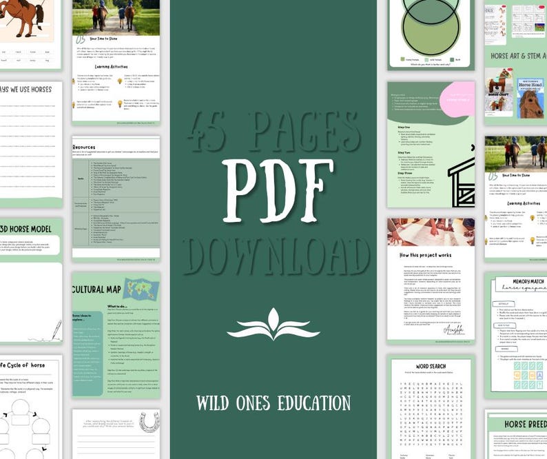 Horses Unit Study| Homeschool Unit Study | Open Ended Project ...