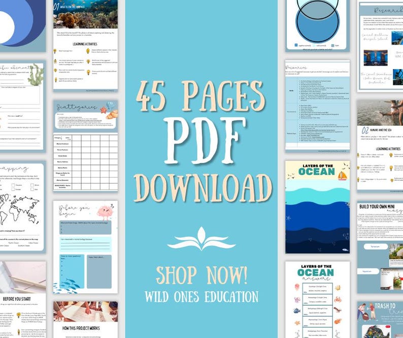 Marine Biology Unit Study| Homeschool Unit Study | Open Ended Project ...