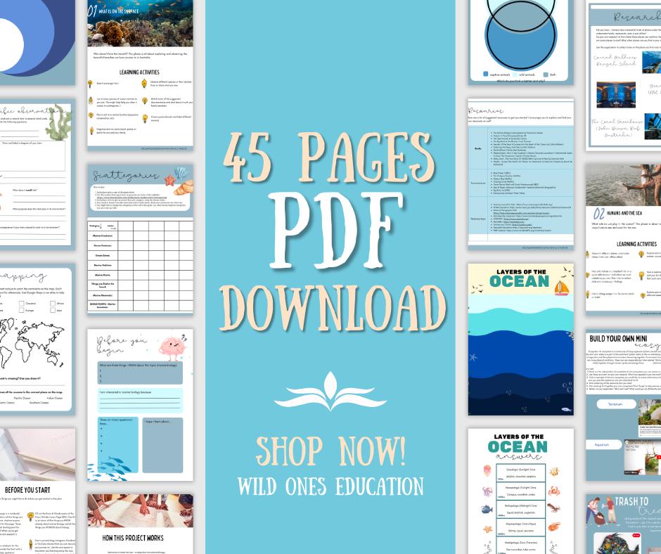 Marine Biology Unit Study| Homeschool Unit Study | Open Ended Project ...