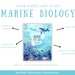 Marine Biology Unit Study| Homeschool Unit Study | Open Ended Project ...