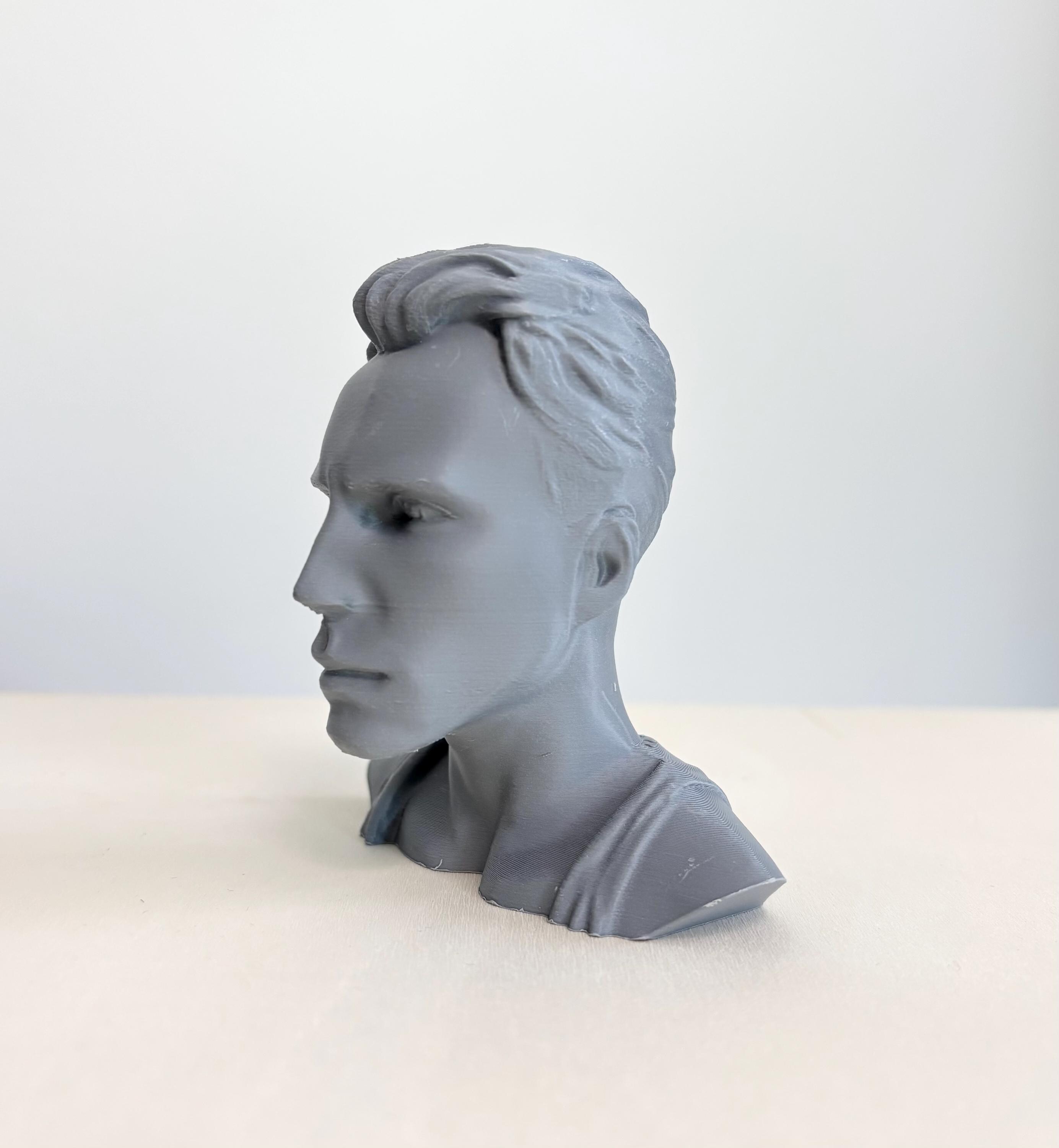 Custom 3D Printed Portrait Bust: Personalized Photo Sculpture - Etsy