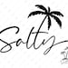 2 Bundles, Salty Svg Png, Summer Svg, Summer Vibes Svg, Beach Vibes Svg ...