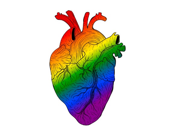 Lgbtq Rainbow Pride Heart Png Lgbt Heart Png Gay Pride | Etsy