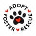 Adopt Foster Rescue Svg Png, Dog Lover Svg, Animal Shelter Svg, Animal ...