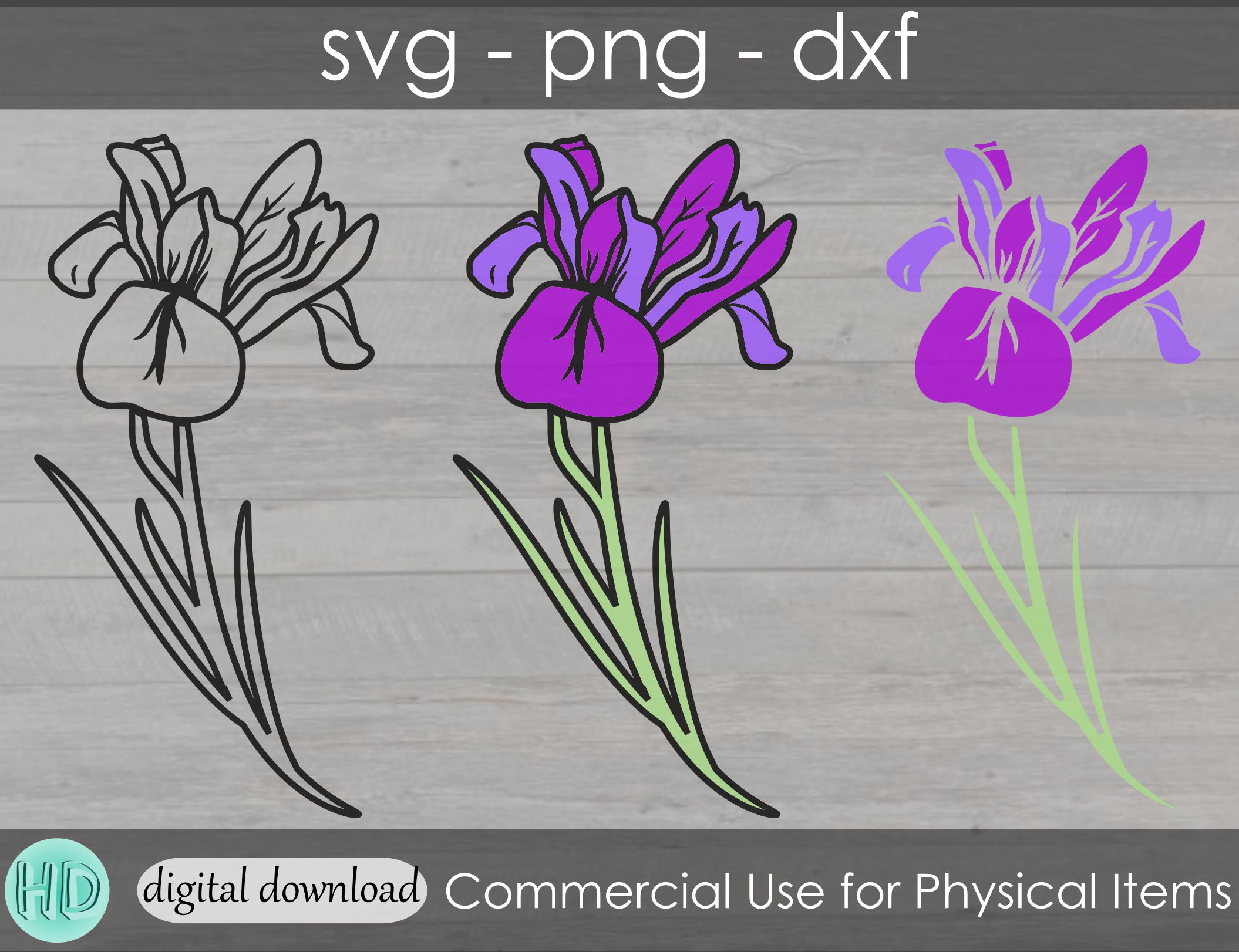 Iris Flower SVG Violet Flowers Purple Floral Design Layered Vector for ...