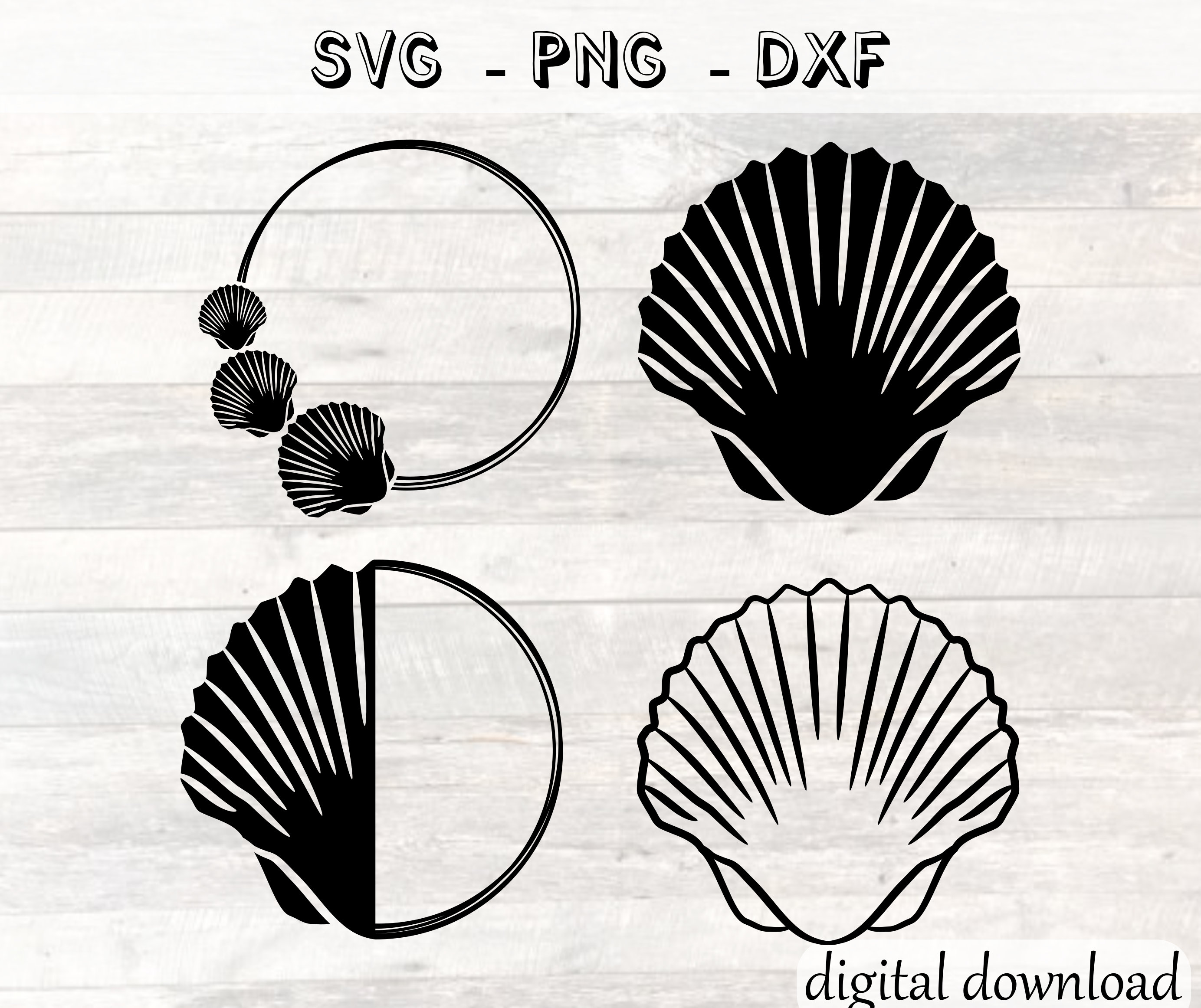 Seashell Circle Border SVG Bundle - Seashell Silhouette and Outline ...