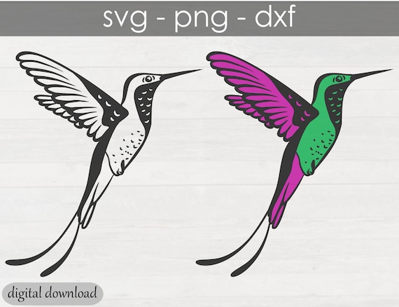 Hummingbird Svg Hummingbird Silhouette Hummingbird Png | Etsy