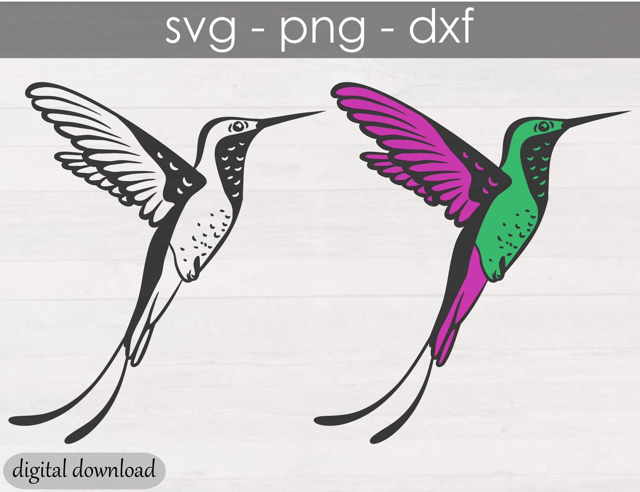 Hummingbird Svg - Hummingbird Silhouette - Hummingbird Png - Bird Svg ...