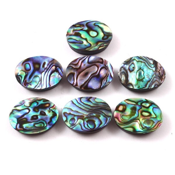 Blue Abalone Shell - Etsy