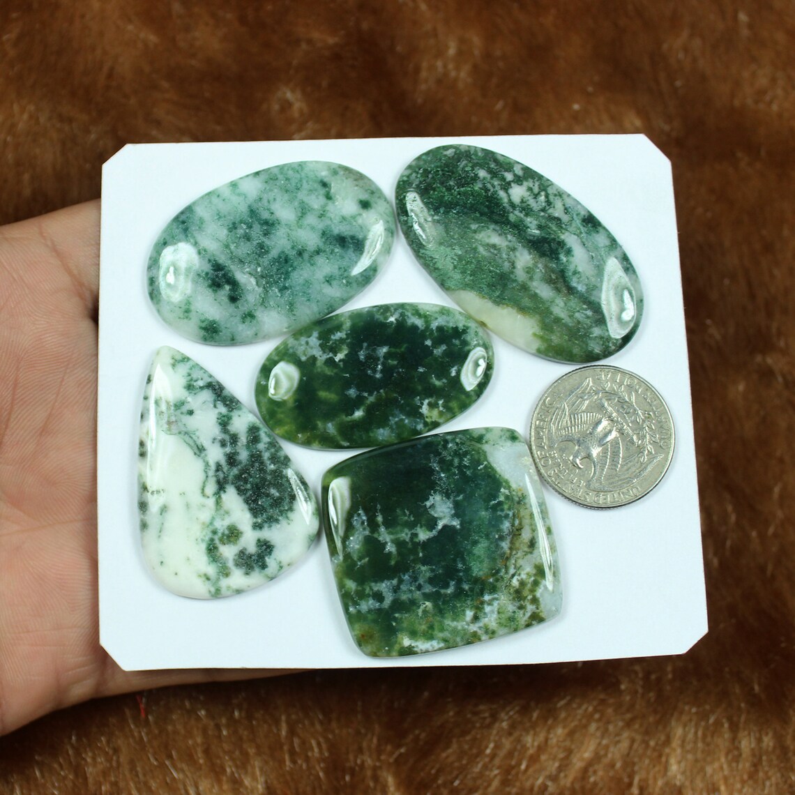 Top Quality Moss Agate Gemstone 5 Pieces 247 Carat 48x27 | Etsy
