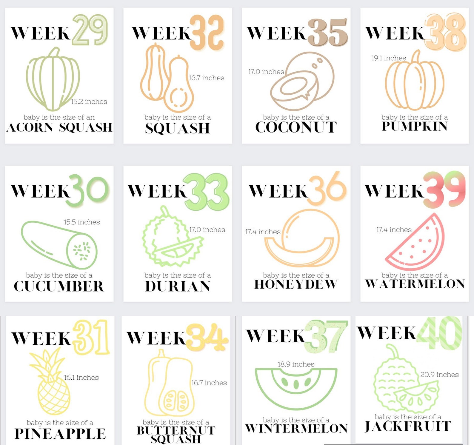 Baby Size Weekly Baby Bump Pregnancy Digital Prints, Pregnancy Week by ...
