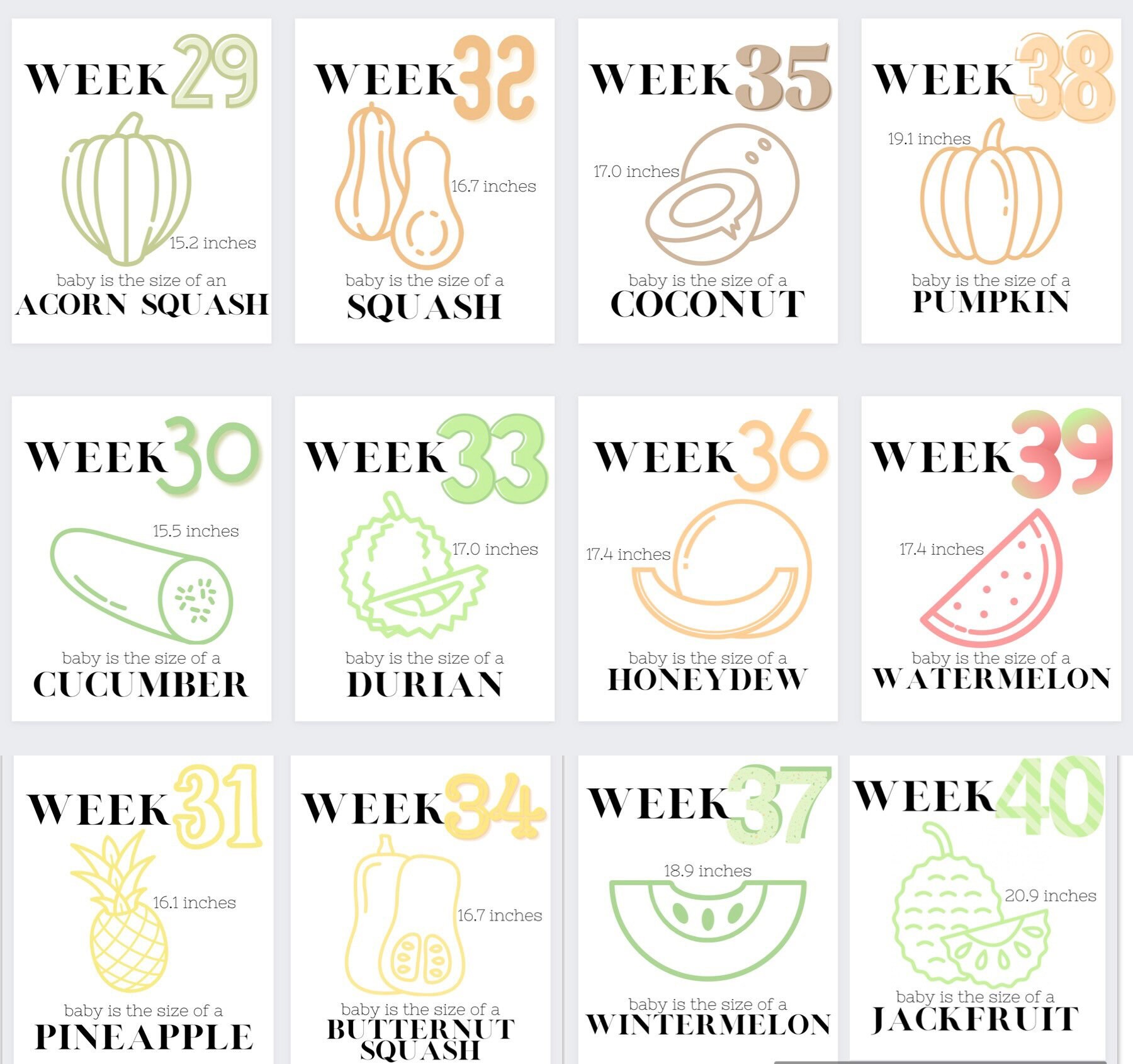 Baby Size Weekly Baby Bump Pregnancy Digital Prints, Pregnancy Week by ...