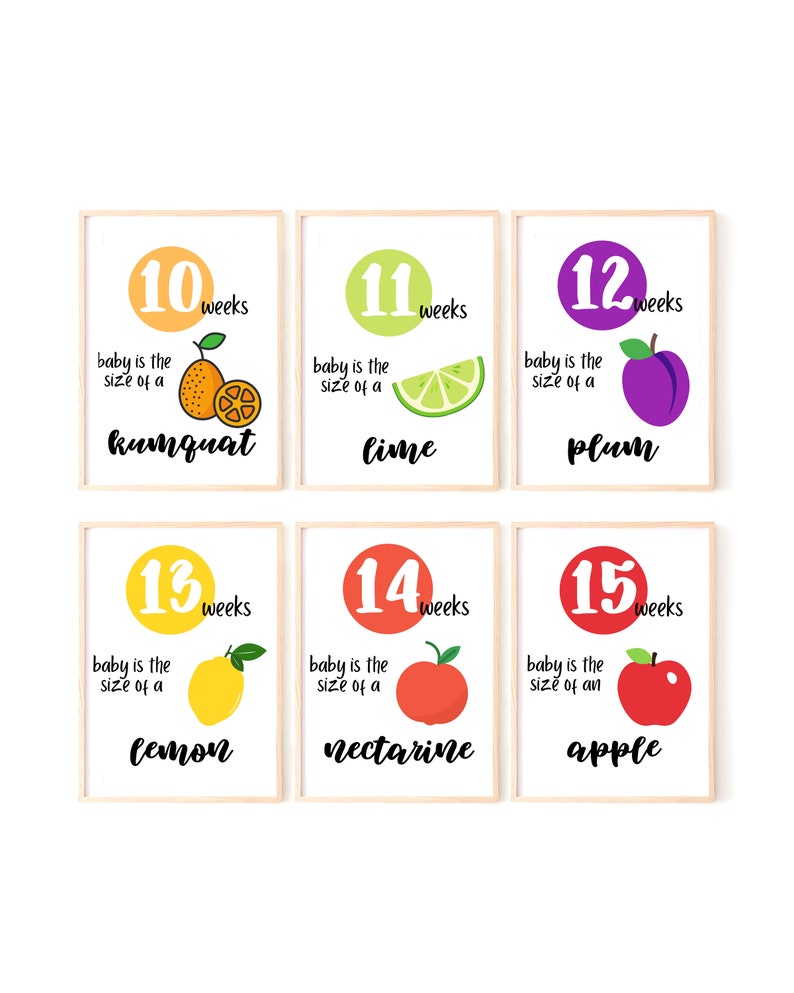 Baby Size Weekly Baby Bump Pregnancy Prints, Pregnancy Week by Week ...