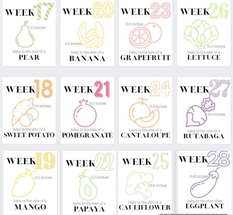 Baby Size Weekly Baby Bump Pregnancy Digital Prints, Pregnancy Week by ...