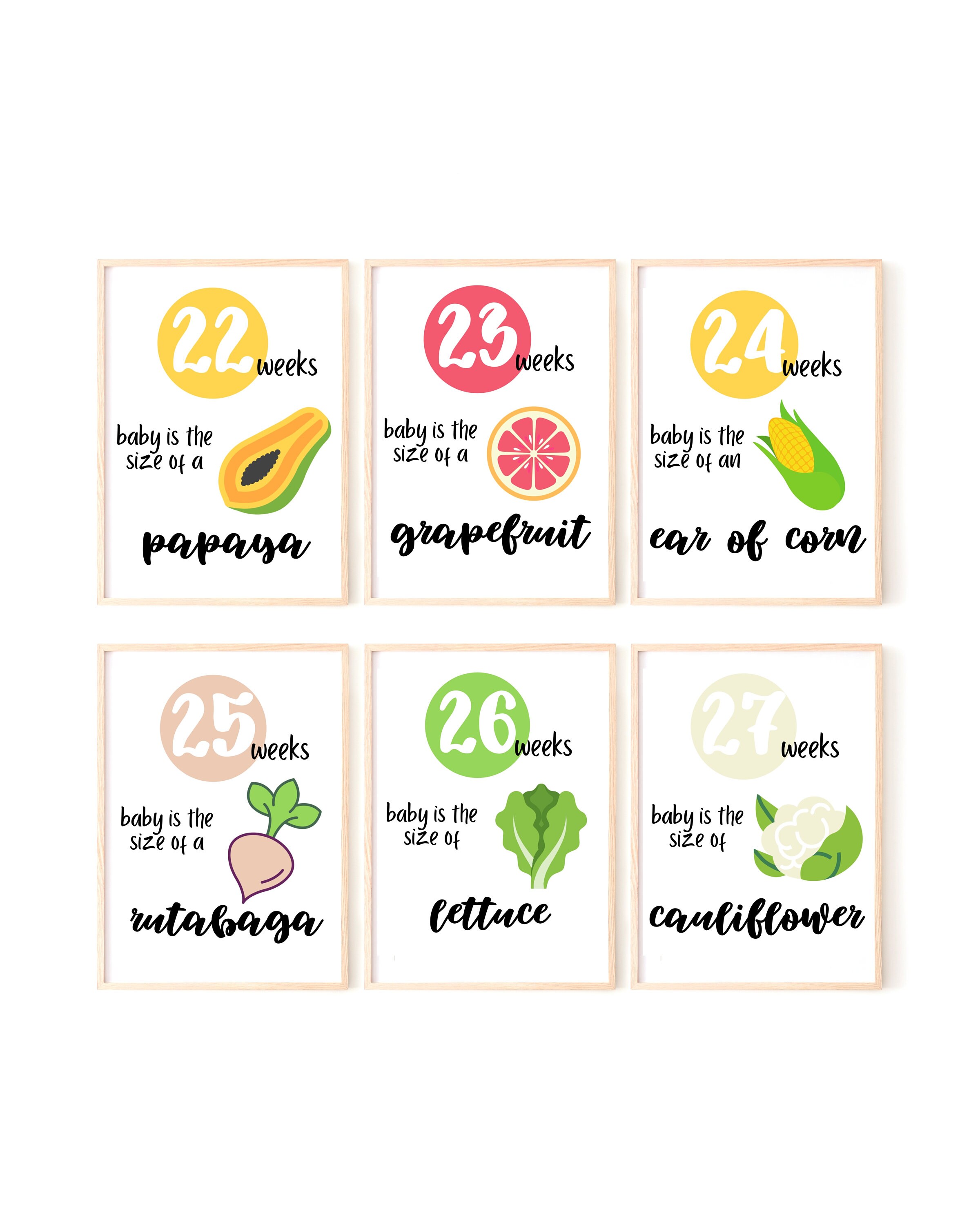 Baby Size Weekly Baby Bump Pregnancy Prints, Pregnancy Week by Week ...