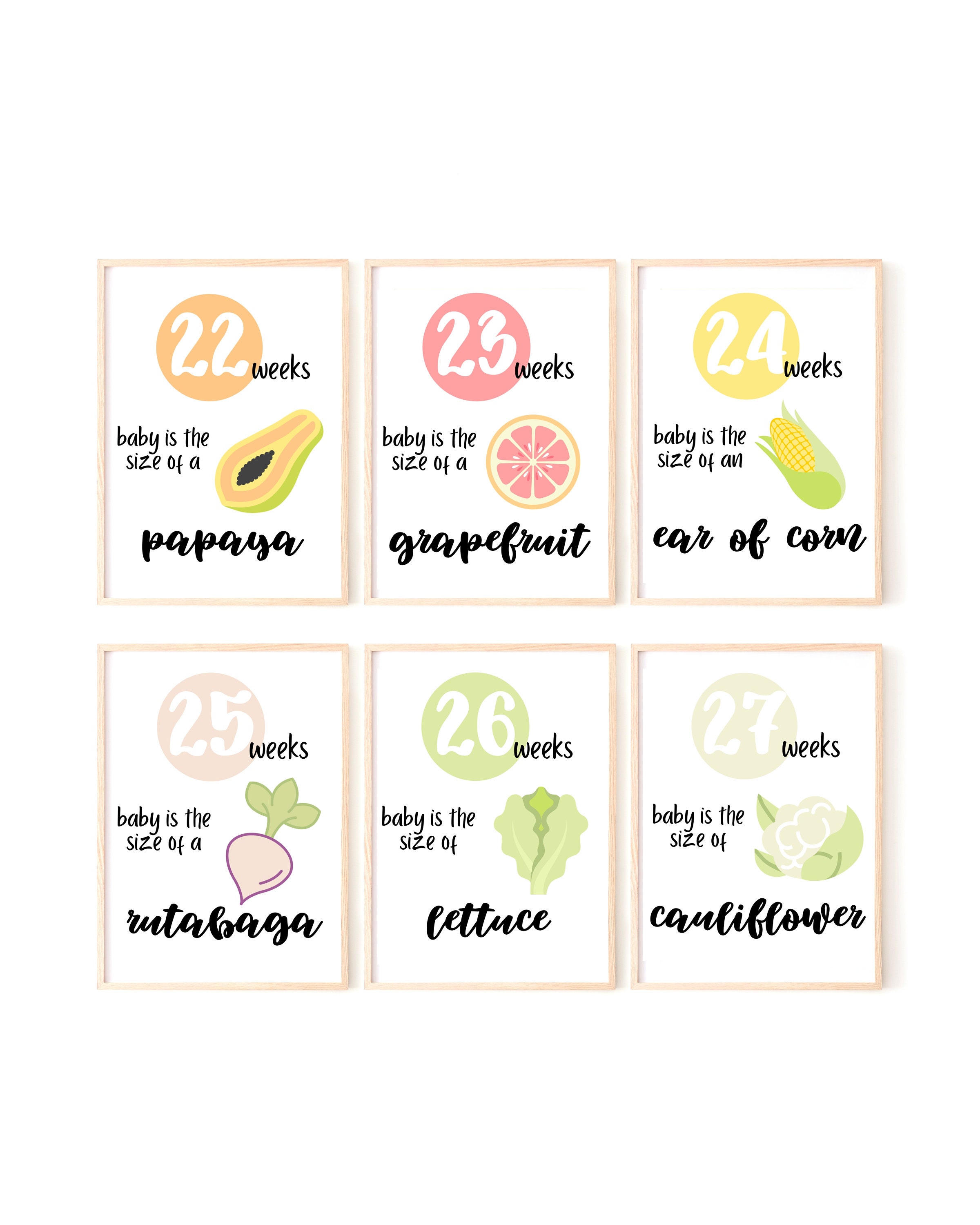 Baby Size Weekly Baby Bump Pregnancy Digital Prints Pregnancy | Etsy