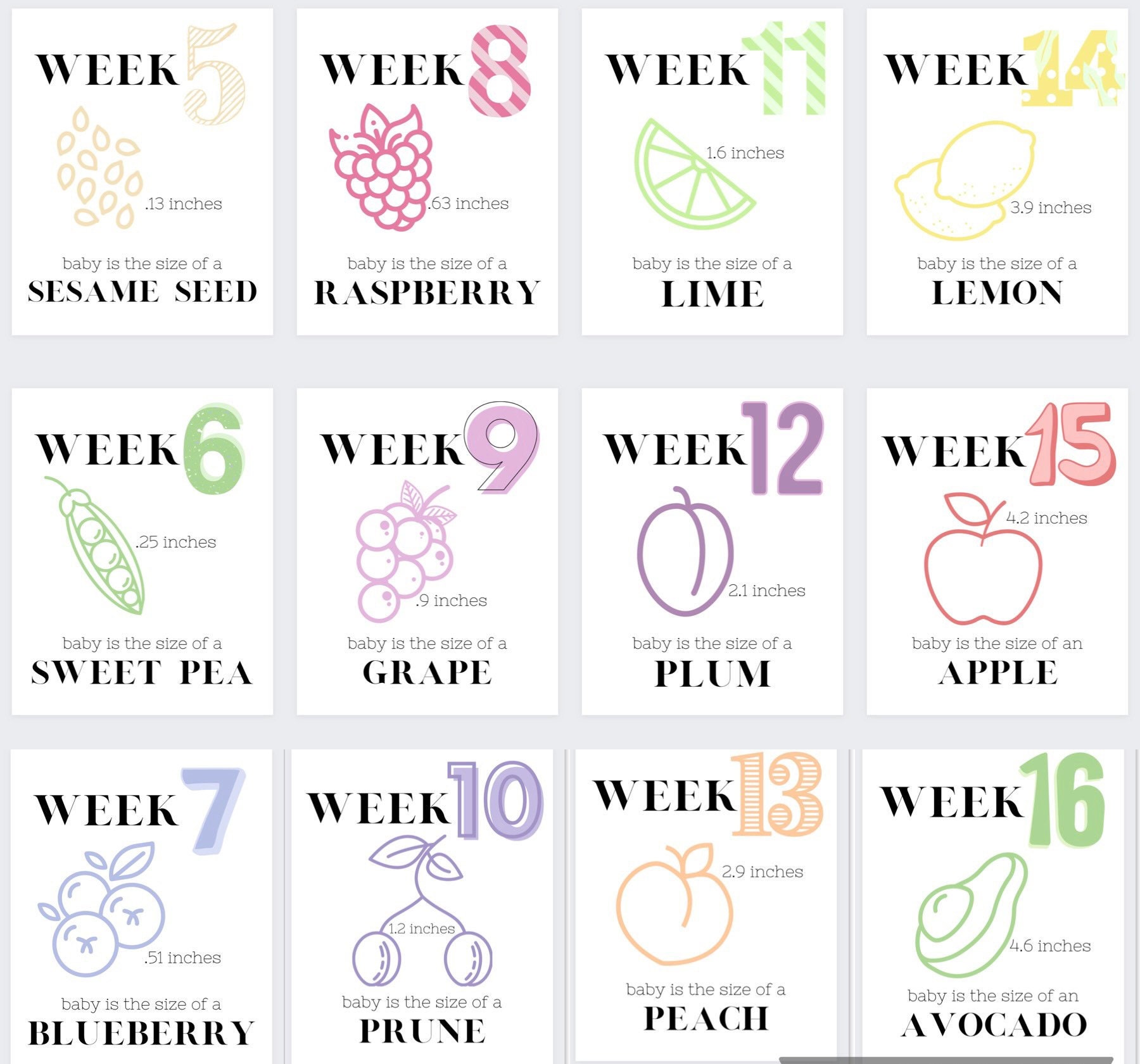 Baby Size Weekly Baby Bump Pregnancy Digital Prints, Pregnancy Week by ...