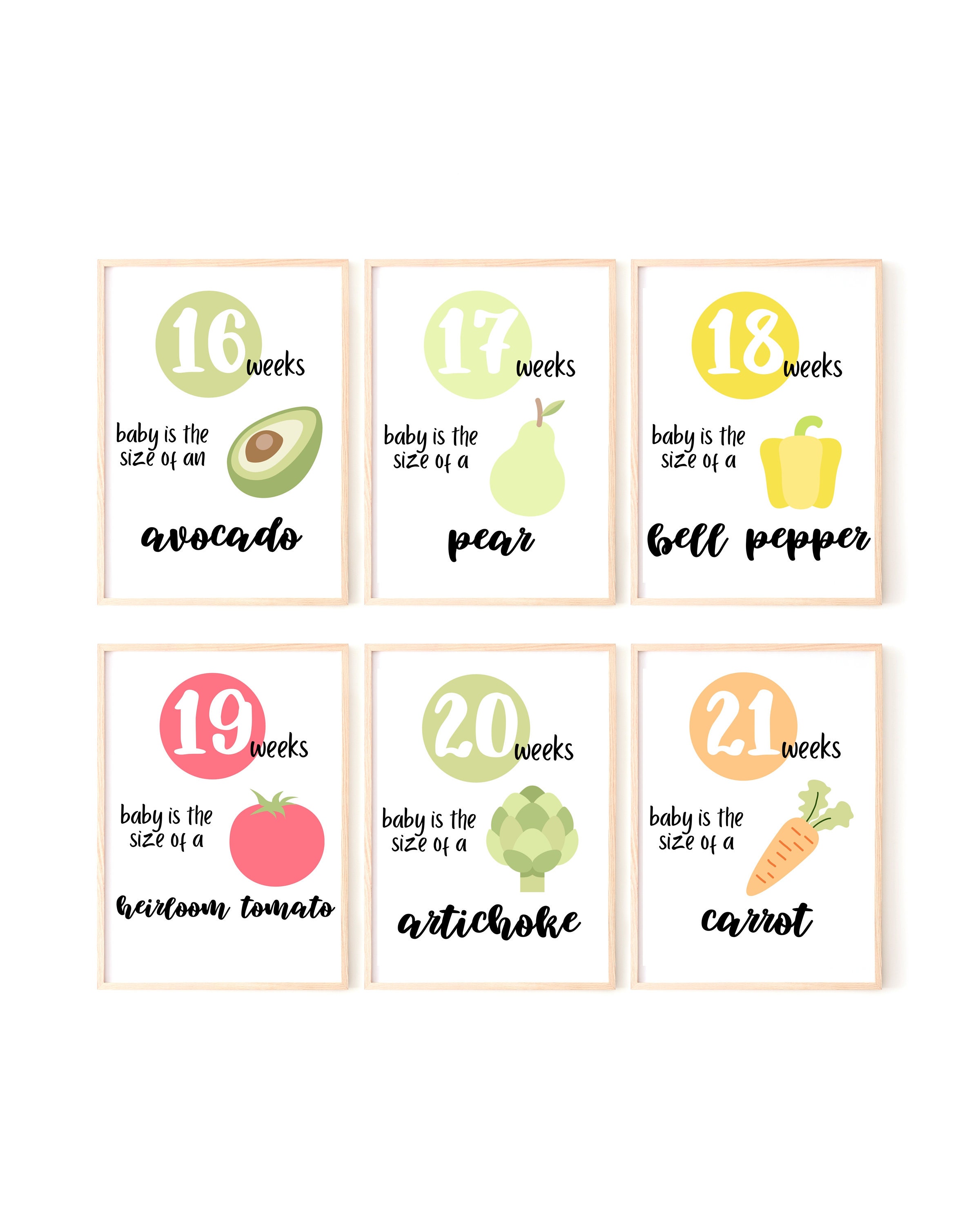 Baby Size Weekly Baby Bump Pregnancy Digital Prints, Pregnancy Week by ...