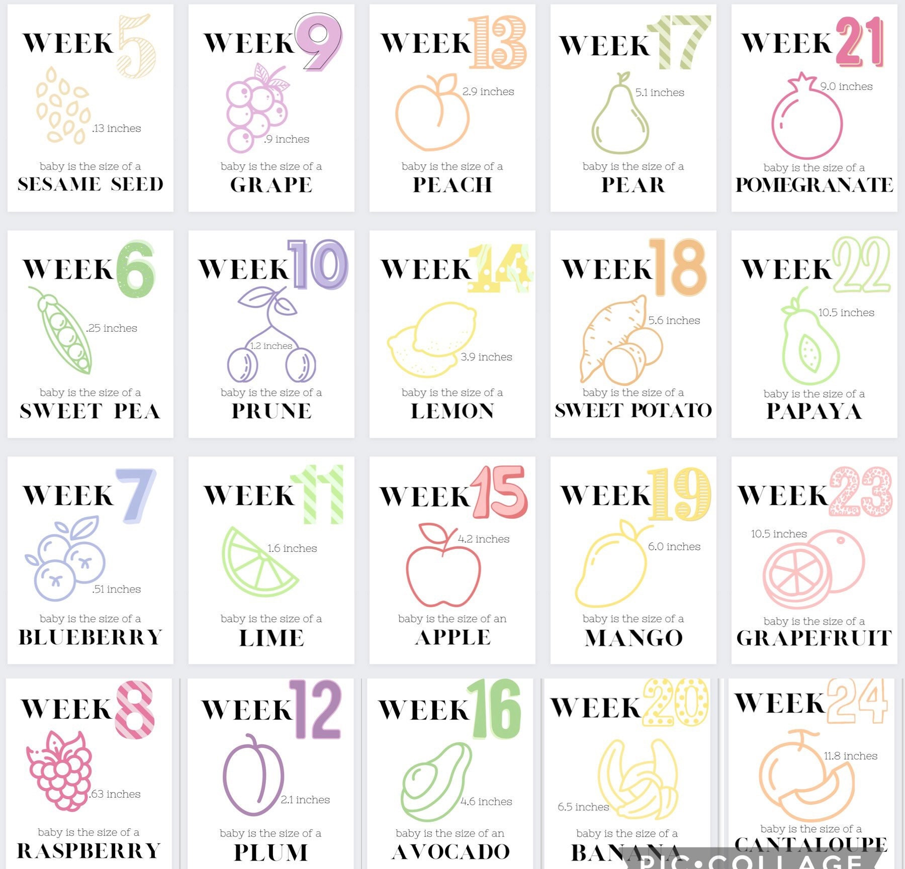 Baby Size Weekly Baby Bump Pregnancy Digital Prints, Pregnancy Week by ...