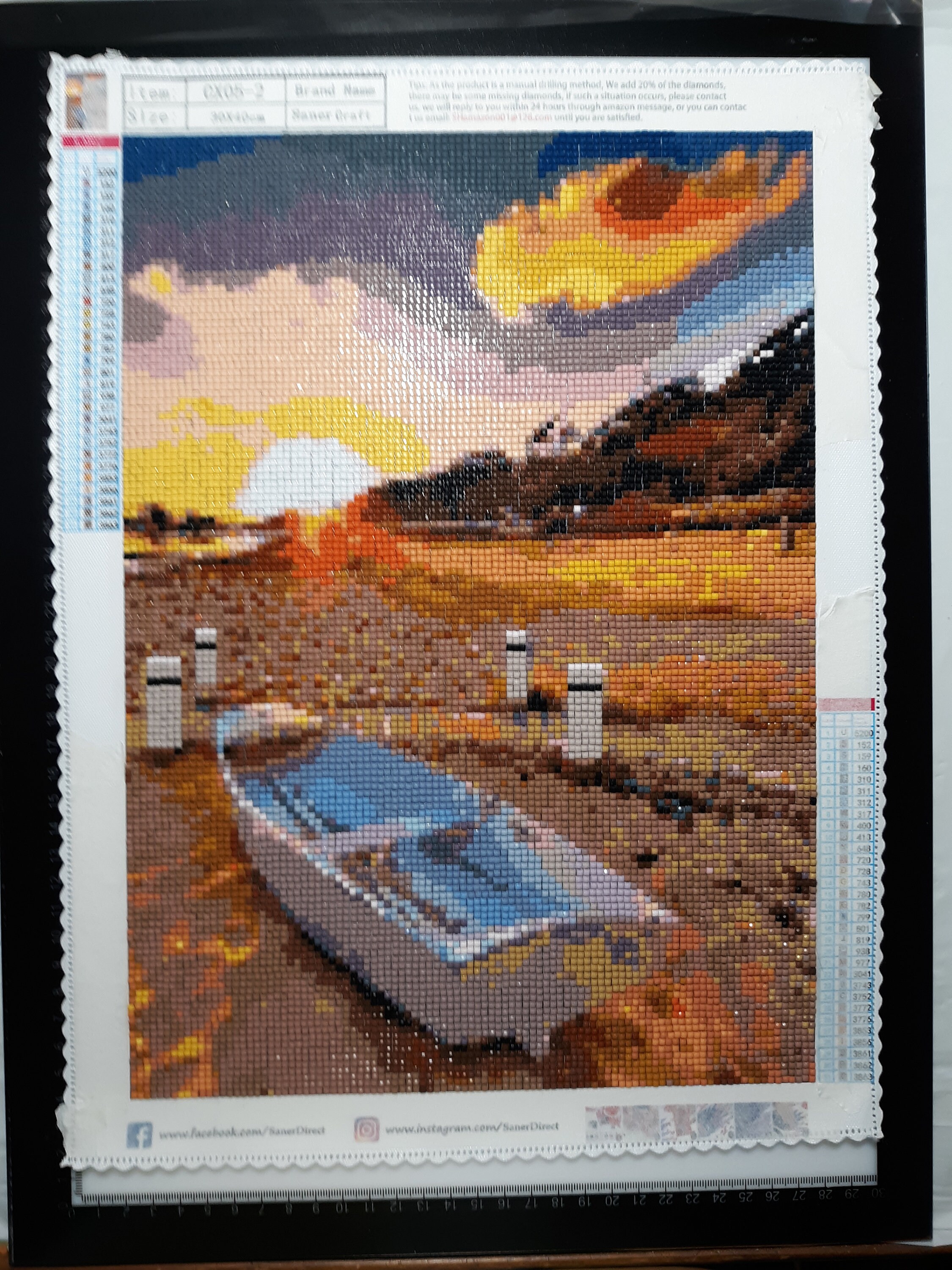 Sun Rising Completed 5D Diamond Painting - Etsy