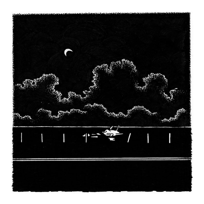 Roadkill Original Drawing - Etsy