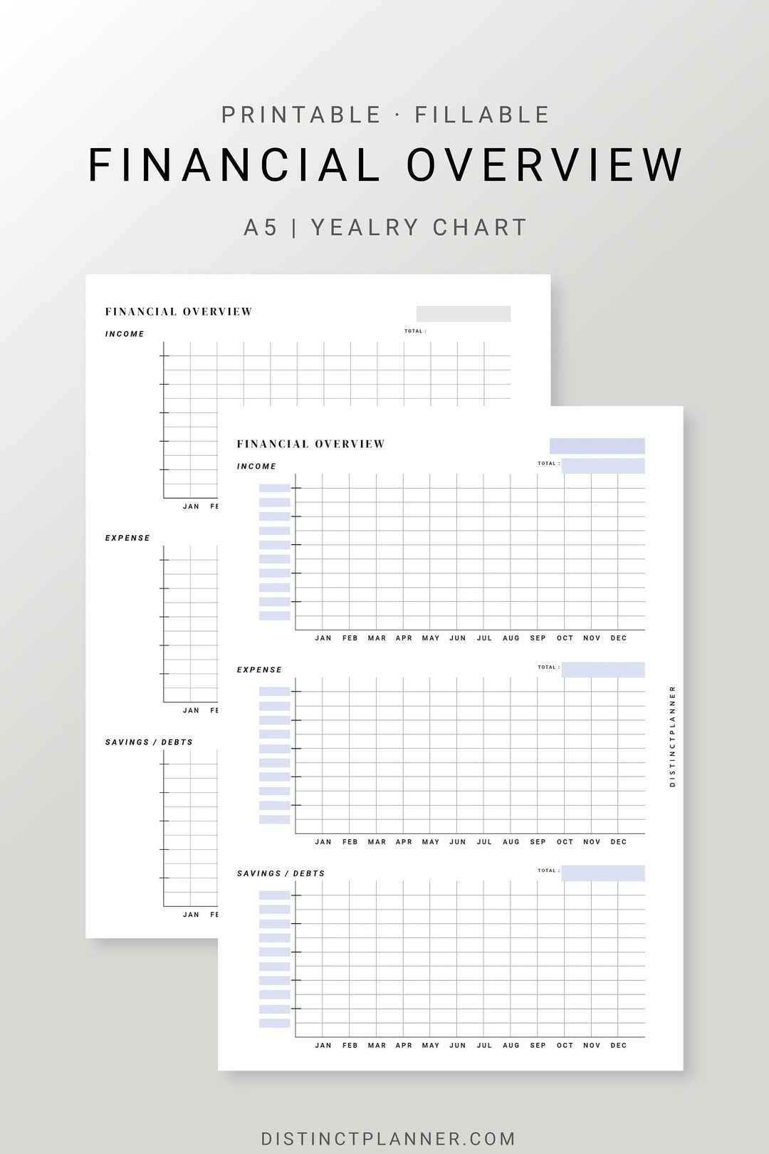 A5 Inserts, Yearly Financial Overview Printable & Fillable, Financial ...