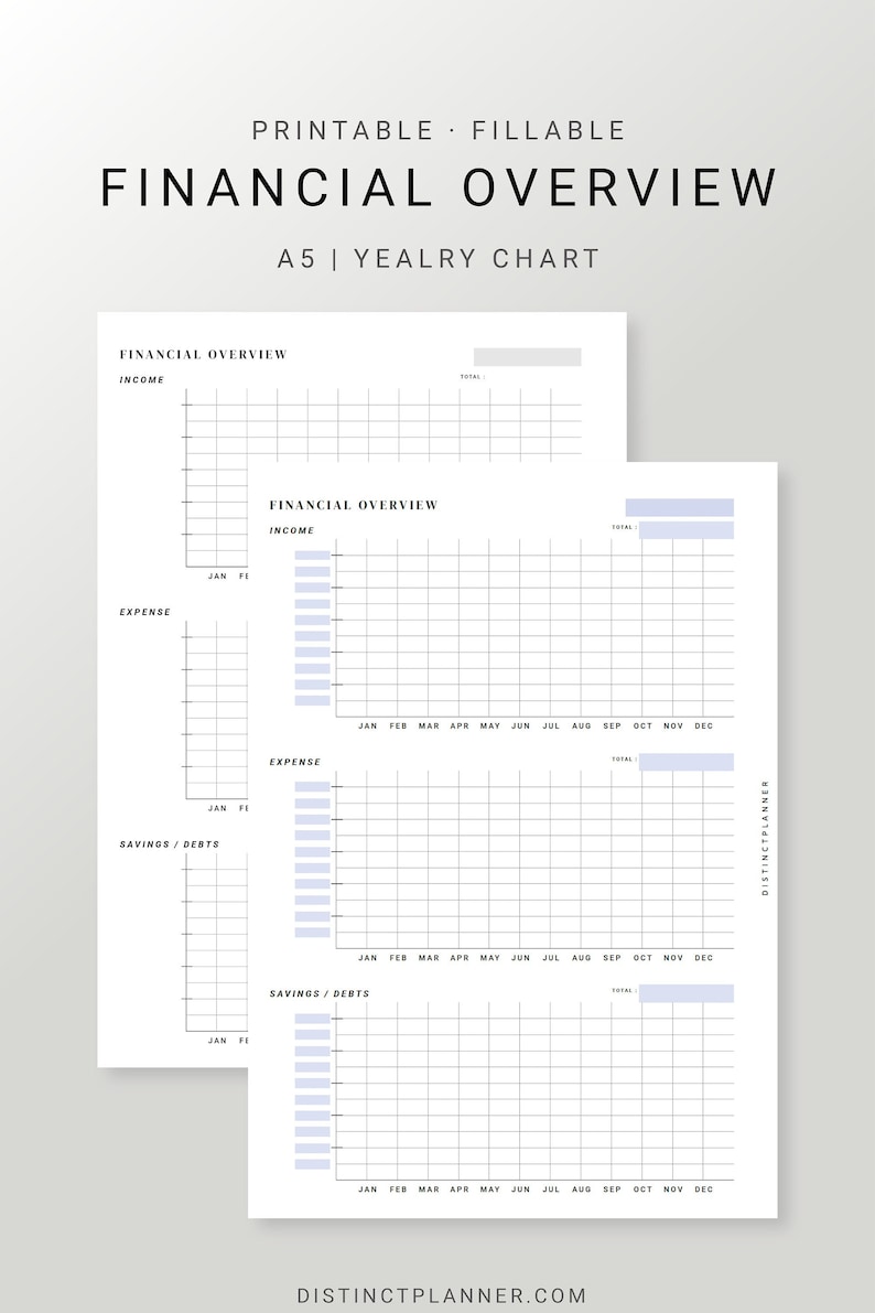 A5 Inserts, Yearly Financial Overview Printable & Fillable, Financial ...