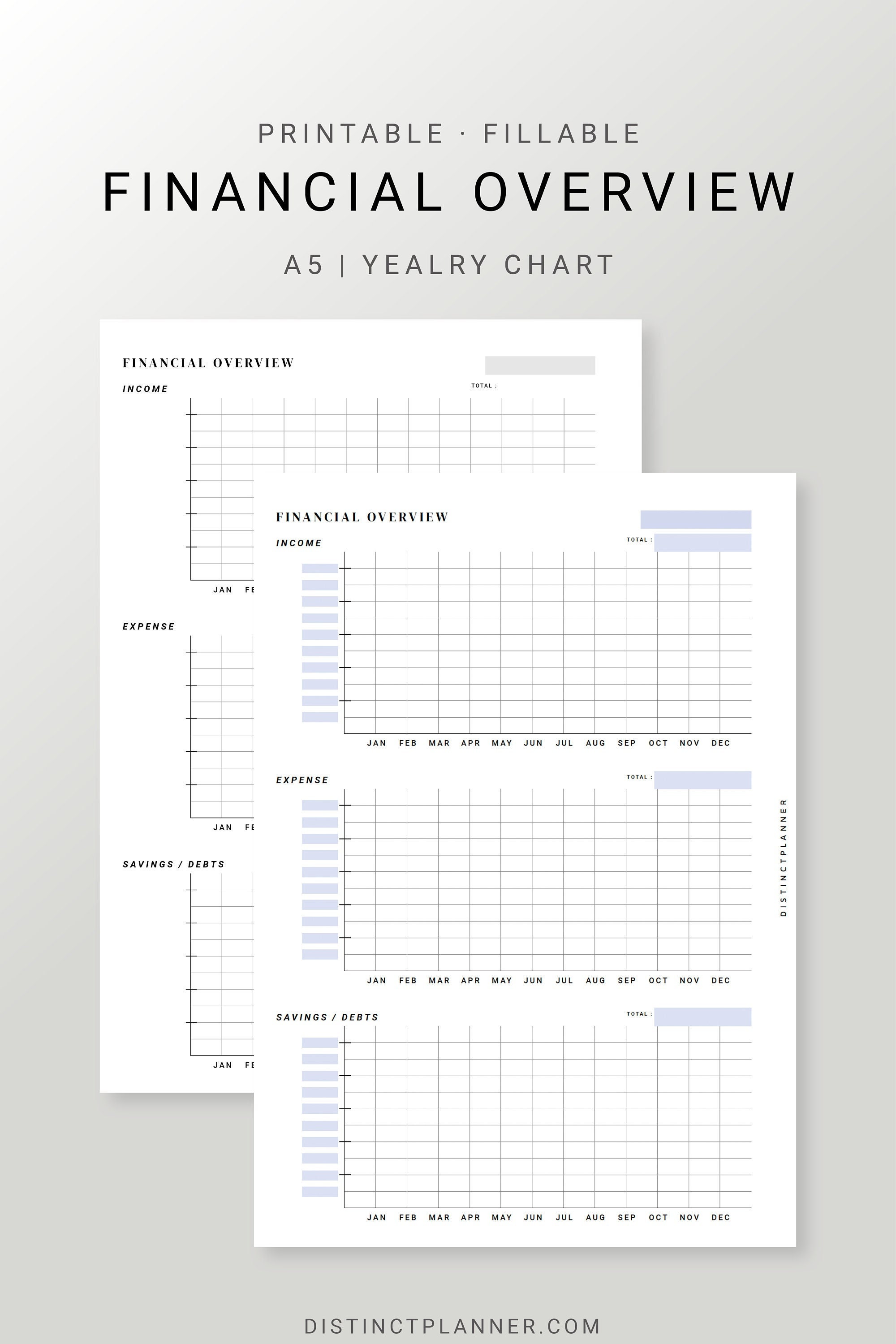 A5 Inserts, Yearly Financial Overview Printable & Fillable, Financial ...