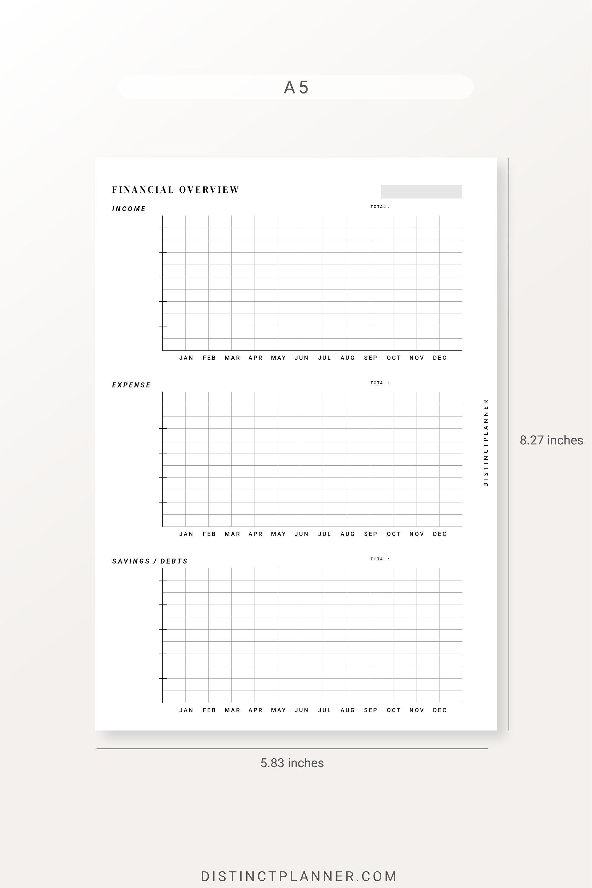 A5 Inserts, Yearly Financial Overview Printable & Fillable, Financial ...
