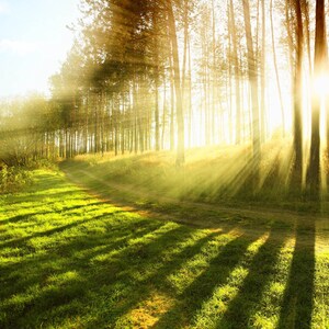 Nature Sounds Relaxation & Meditation CD Collection - Download Version ...