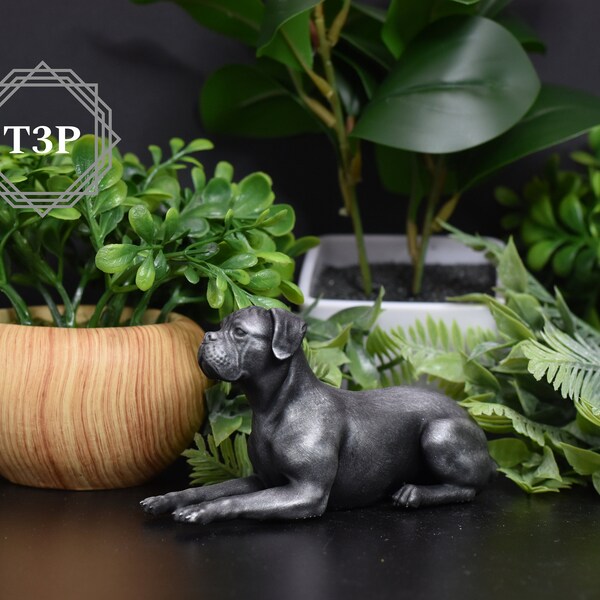 Boxer Dog Gifts - 60+ Gift Ideas for 2024