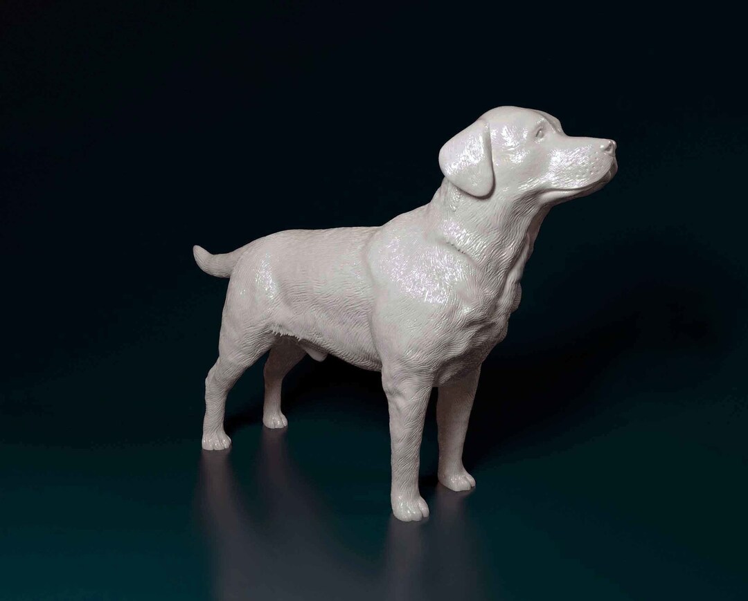 Handcrafted Labrador Dog Statue: Perfect Pet Memorial & Home Decor Gift ...