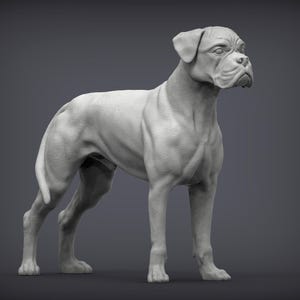 Boxer Dog Figurine – Realistic Animal Sculpture, Handmade Statue - Etsy