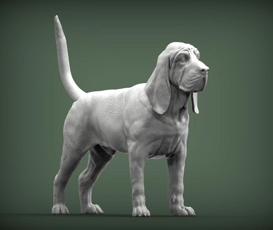 Bloodhound Statue - Realistic Dog Figurine, Unique Home Decor, Perfect ...